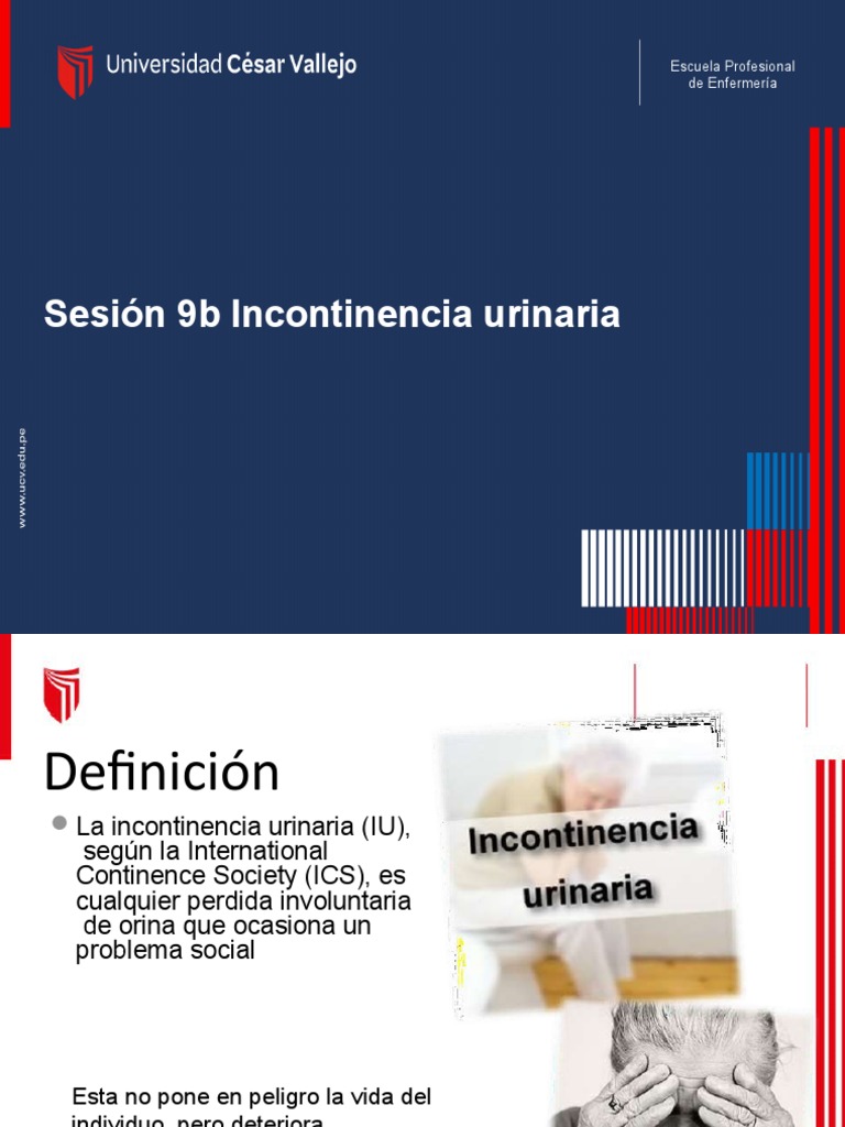 Sesión 9b Incontinencia | PDF | Sistema urinario | Vejiga urinaria