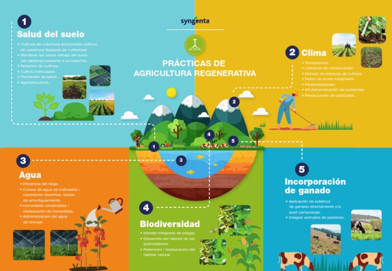 Practicas de Agricultura Regenerativa | PDF
