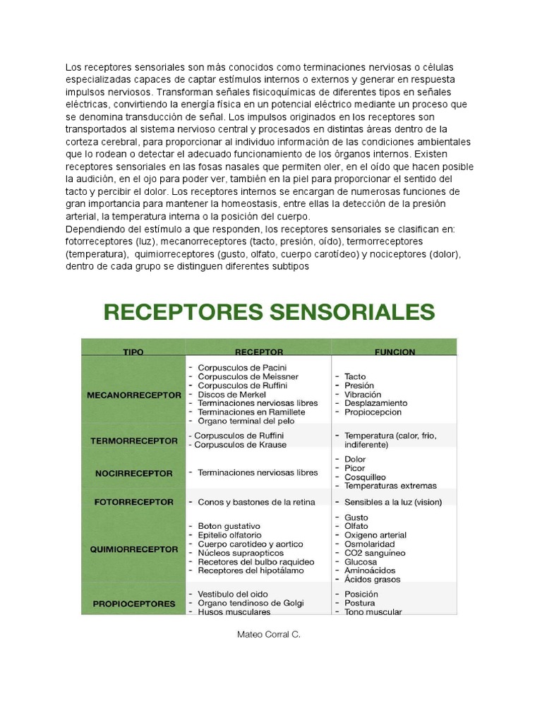 Receptores Sensoriales | PDF | Órgano (anatomía) | Fisiología
