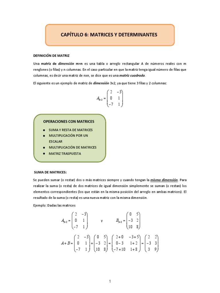 Cap. 6 - Matrices y Determinantes | PDF | Matriz (Matemáticas ...