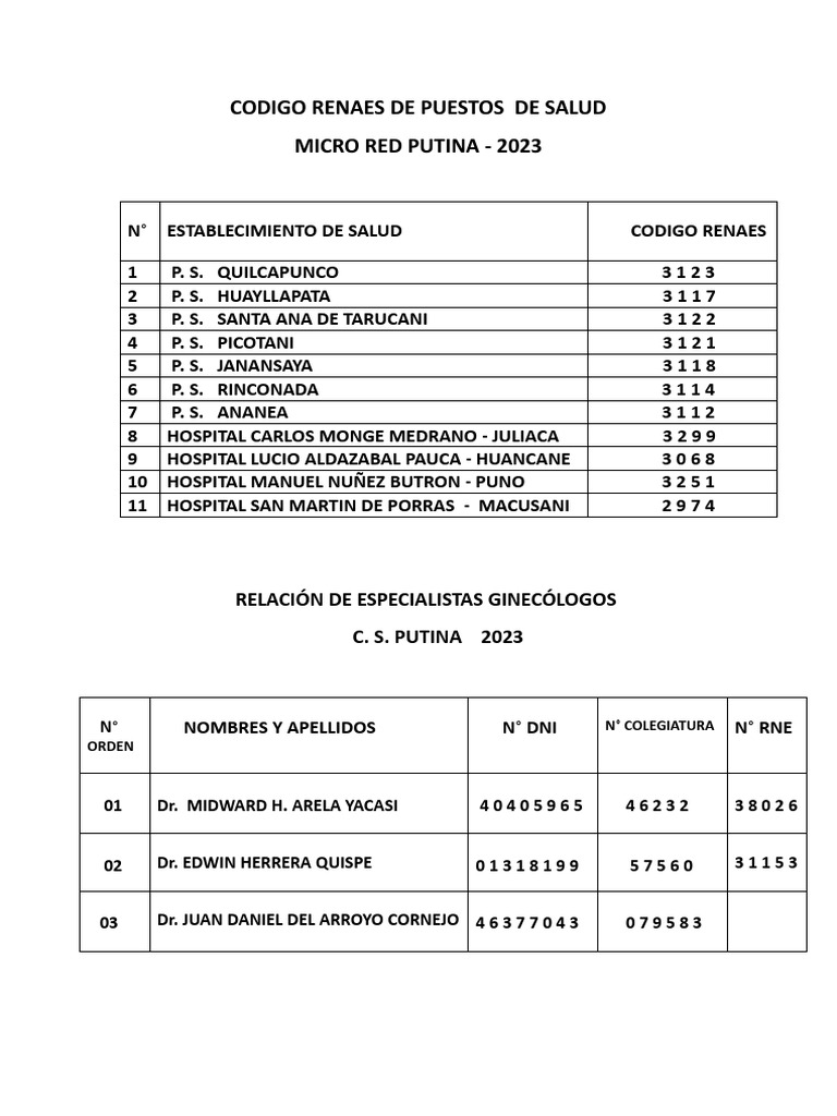 Codigo Renaes de Puestos de Salud Micro Red Putina | PDF