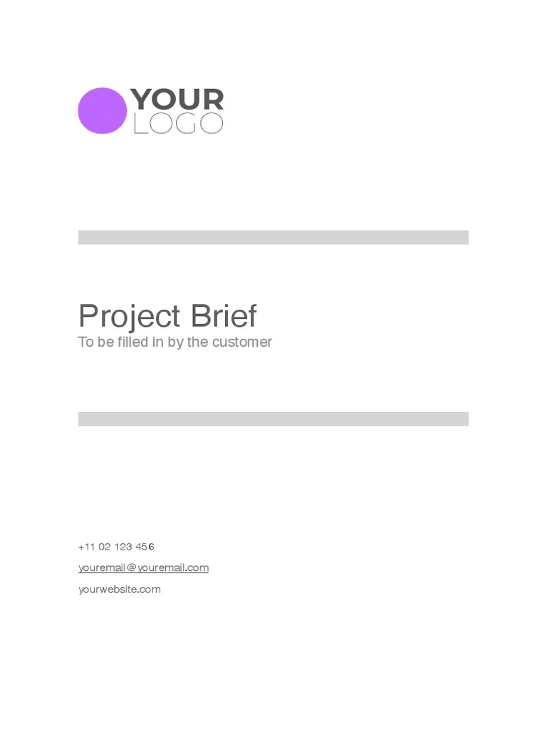 3 - Brief Questionnaire | PDF