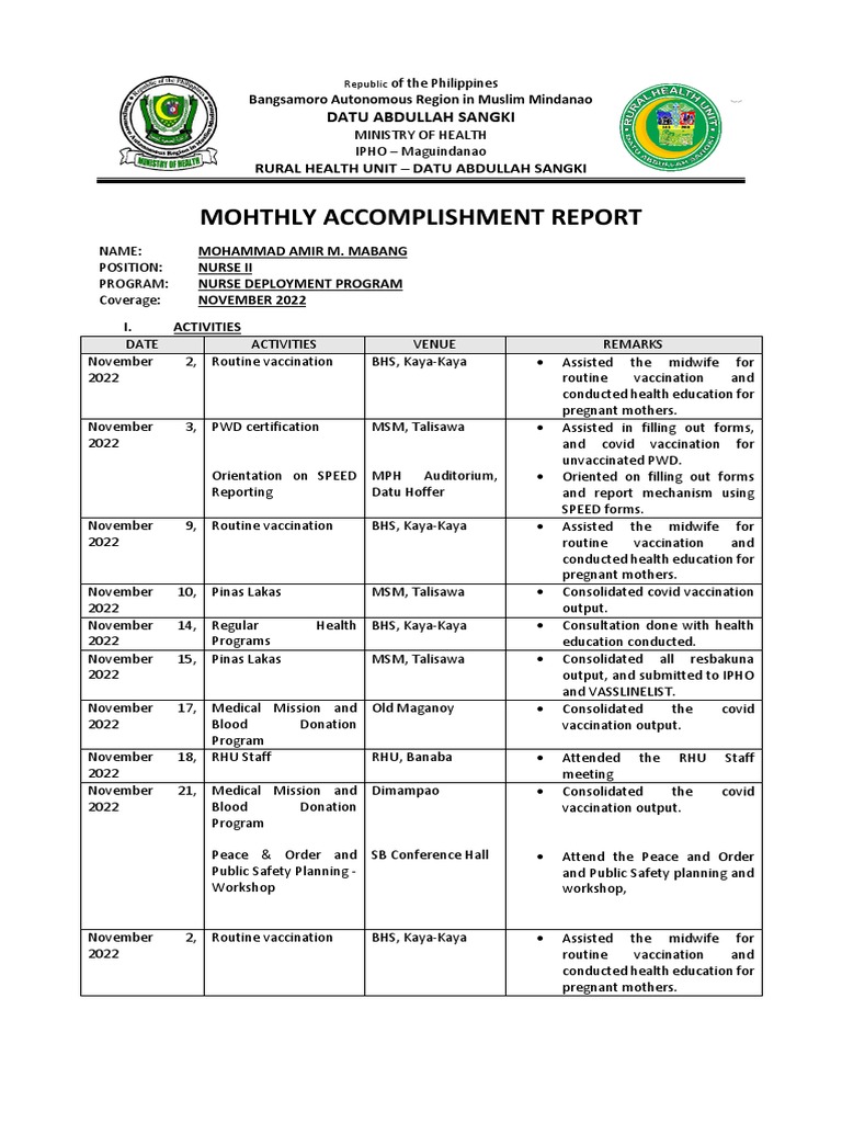November Monthly Accomplishment Report | PDF