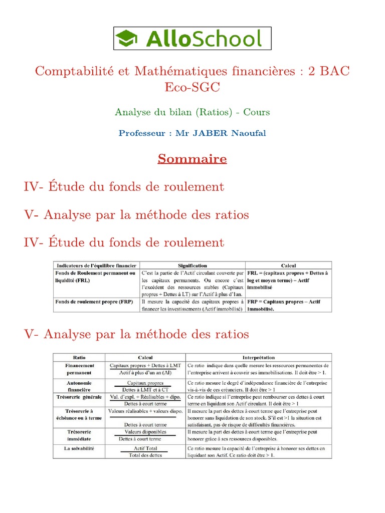 Analyse Du Bilan Ratios Cours | PDF