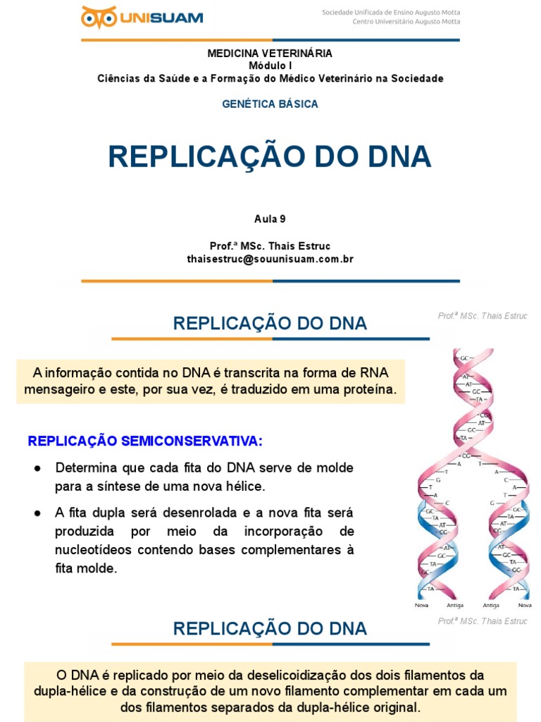 Módulo 2 - Aula 9 Replicação Do DNA | PDF | Replicação de DNA | Primer ...