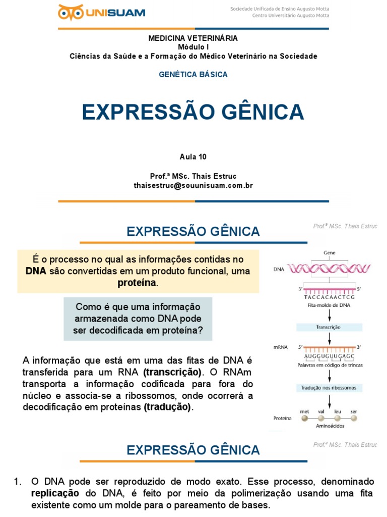 Módulo 1 - Aula 10 Expressão Gênica | PDF | Tradução (Biologia) | Gene