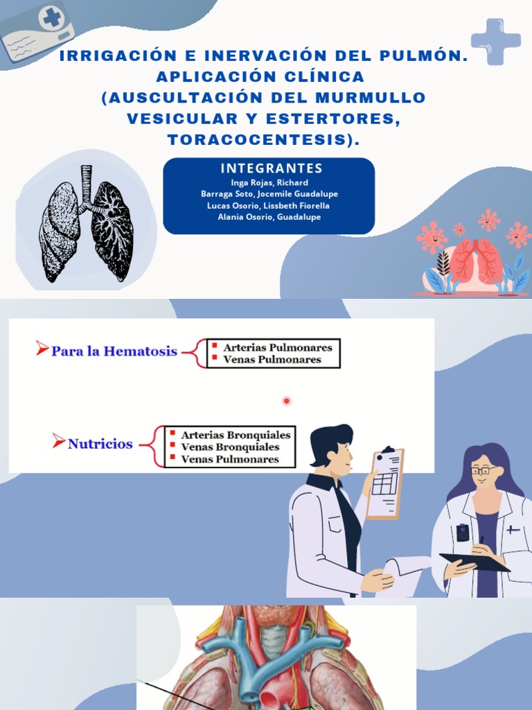 Irrigación e Inervación Del Pulmón. Aplicación Clínica (Auscultación ...