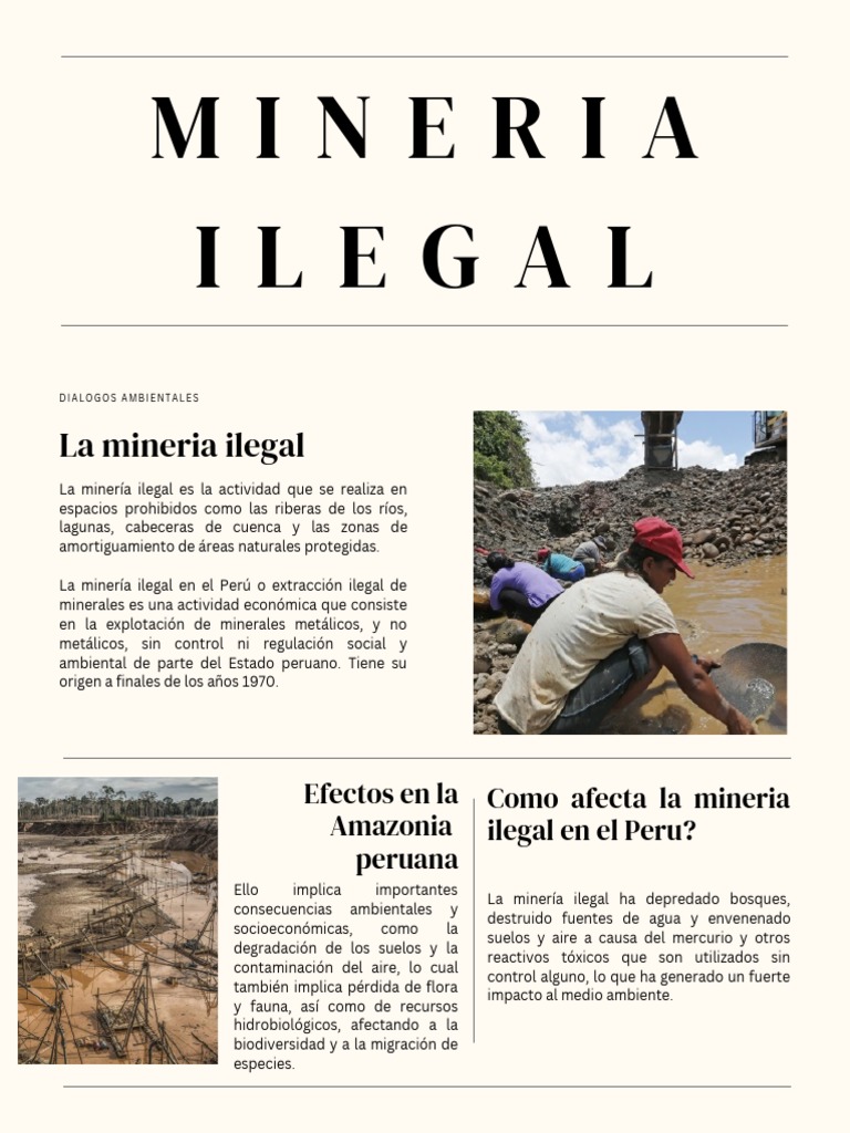 Periódico Reporte Corporativo Blanco | PDF