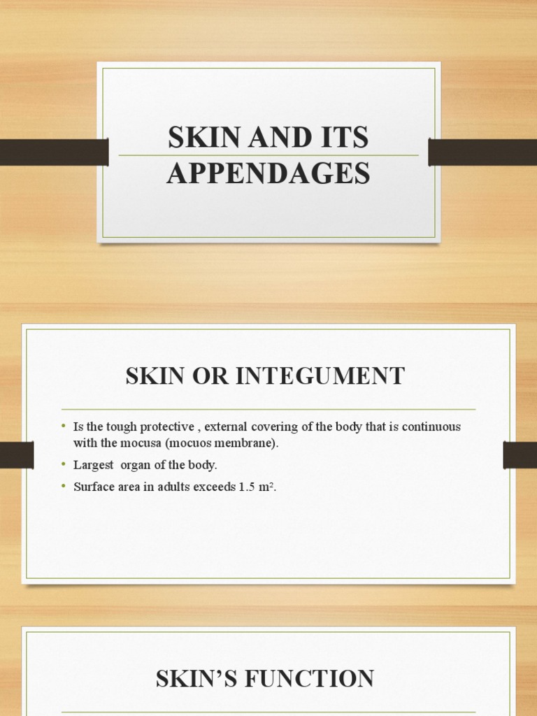 Skin and Its Appendages | PDF