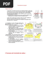 Classification de Magerl | PDF | Maladies et troubles | Causes de décès