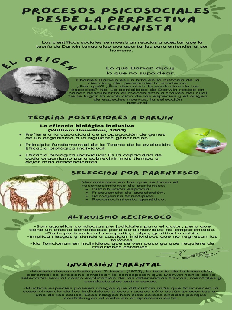 Infografía sobre la teoría de Darwin | PDF | Seleccion natural | Evolución