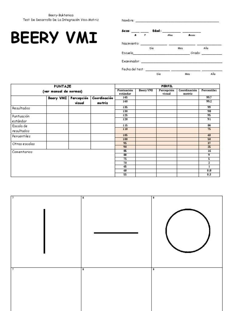 Vmi Completo Formto Aplicacion 1 | PDF