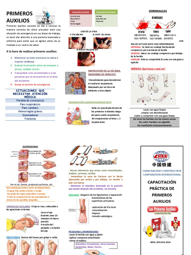 TRIPTICO PRIMEROS AUXILIOS | PDF