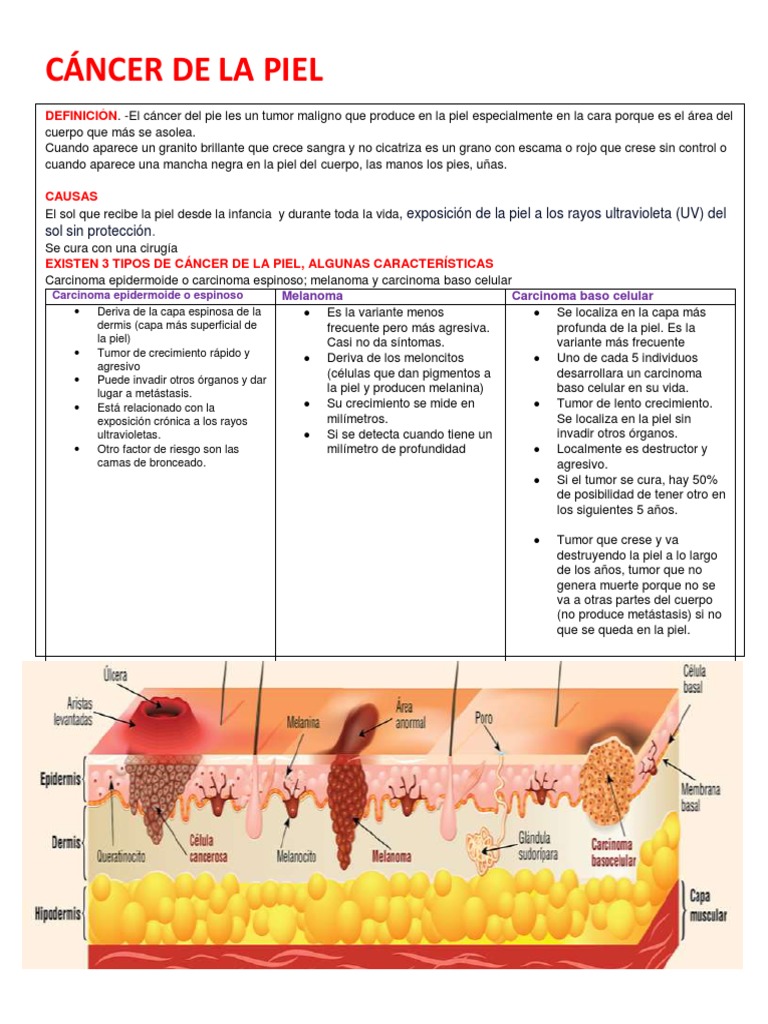 Cancer de La Piel | PDF | Piel | Cáncer