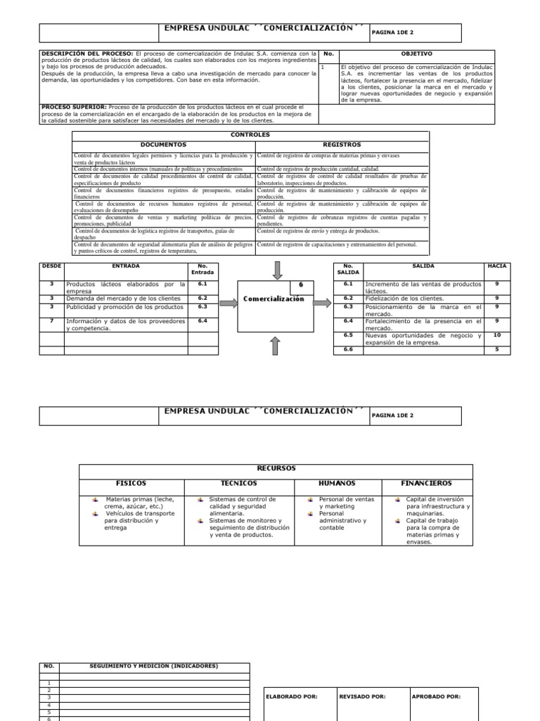 Ficha de Procesó | PDF | Marketing | Calidad (comercial)