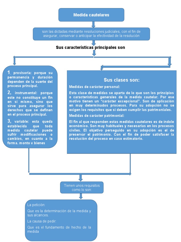 Mapa Conceptual de Las Medidas Cautelares | PDF