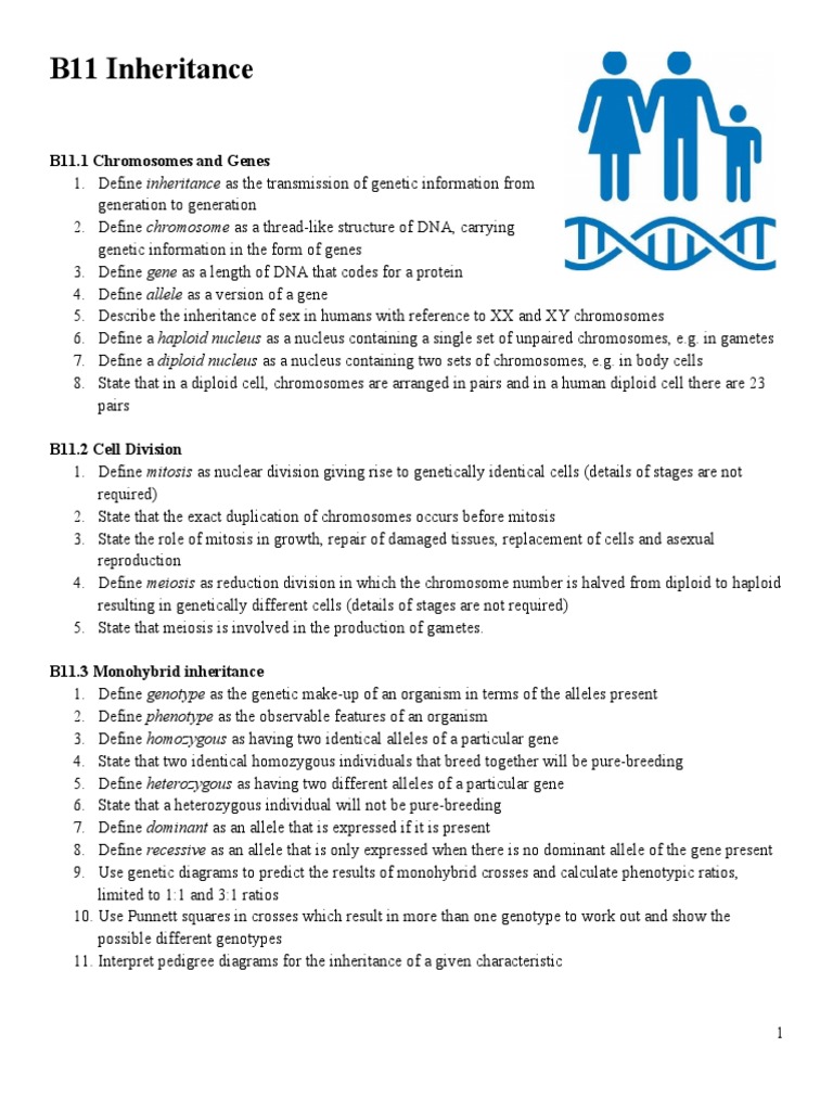 B11 Inheritance | PDF | Dominance (Genetics) | Genotype