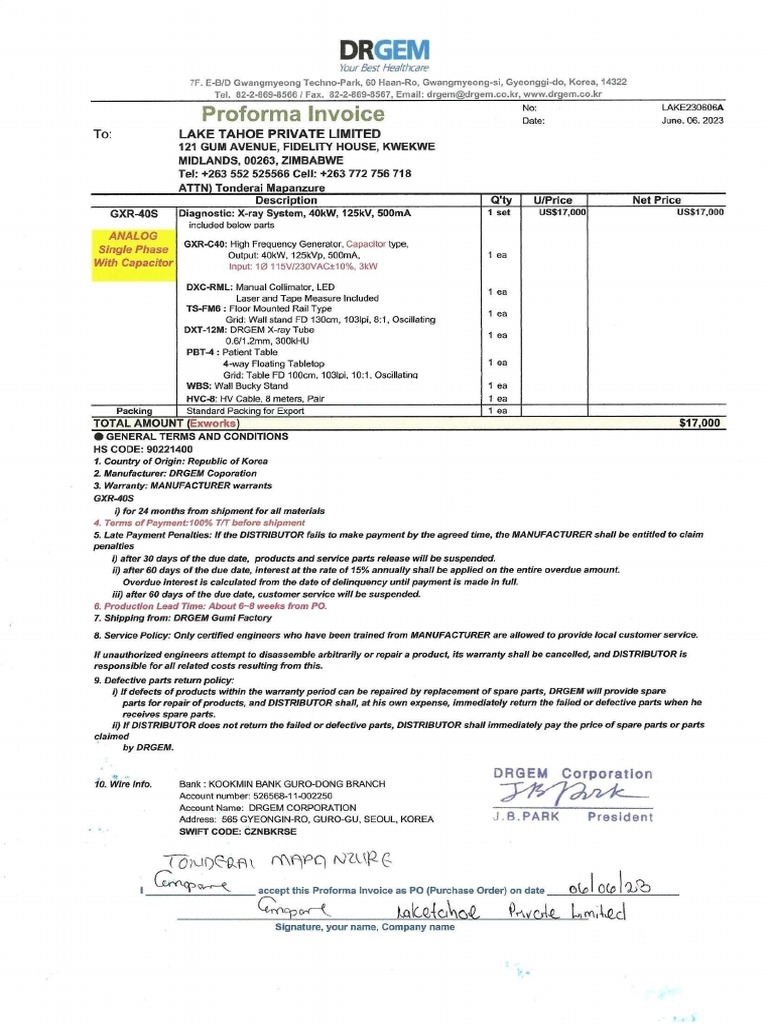 Drgem Prof Invoice 1 | PDF