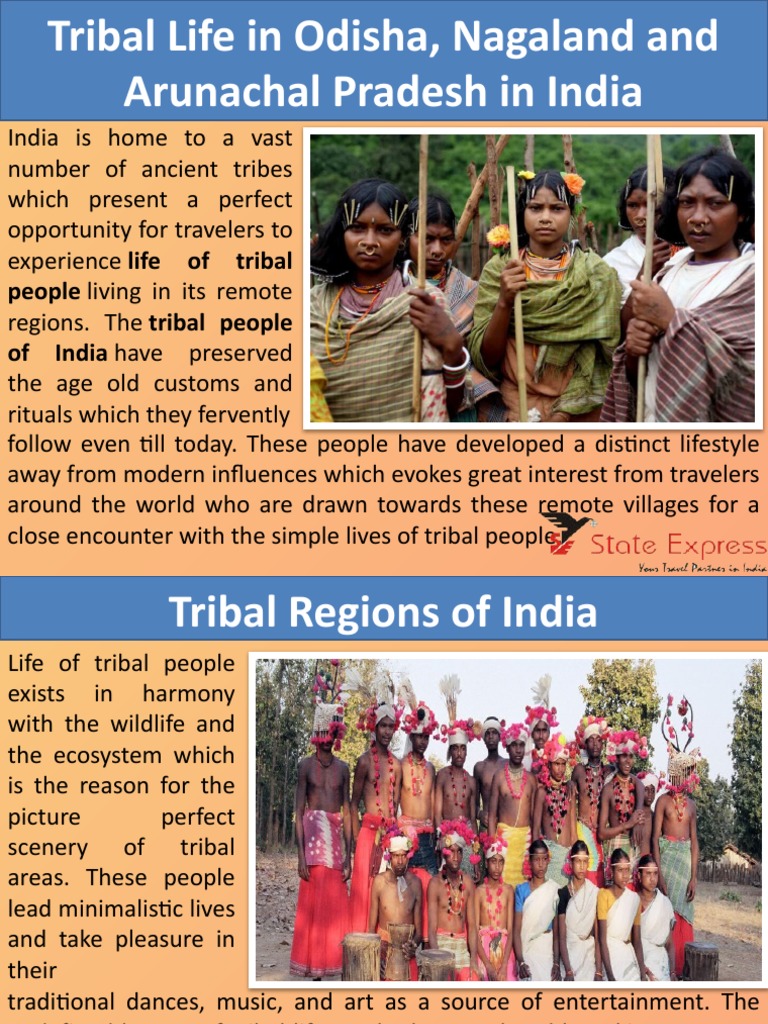 Tribal Life in Odisha Na.9142692.Powerpoint | PDF