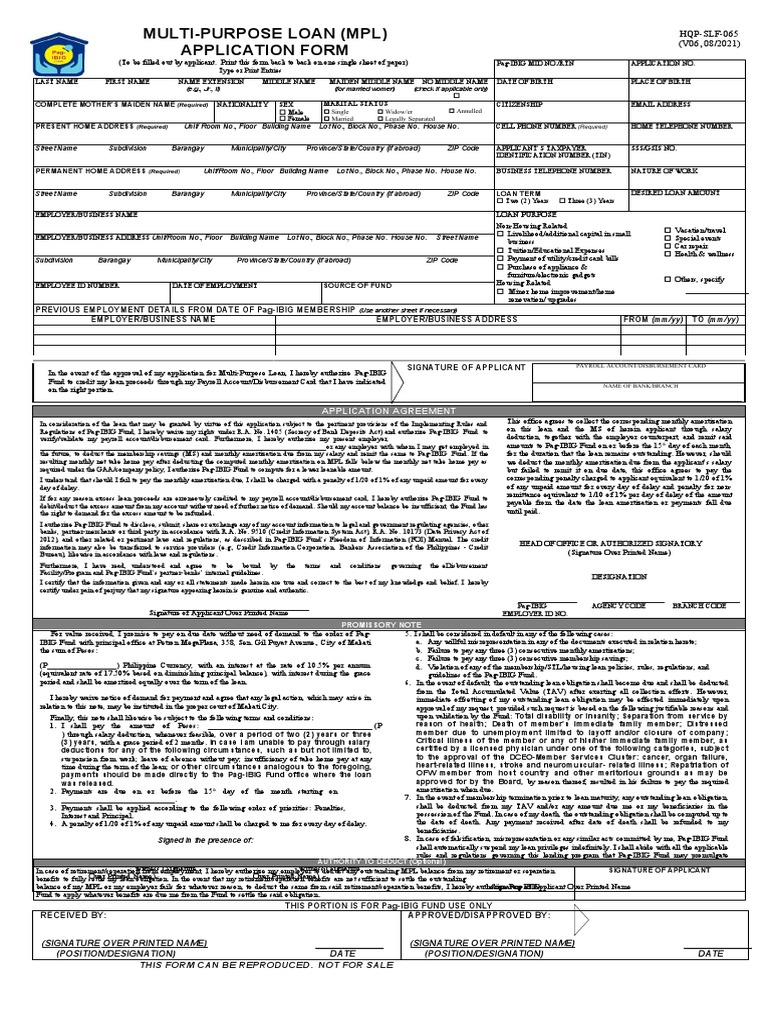 SLF065 MultiPurposeLoanApplicationForm V06 | PDF | Loans | Personal Finance