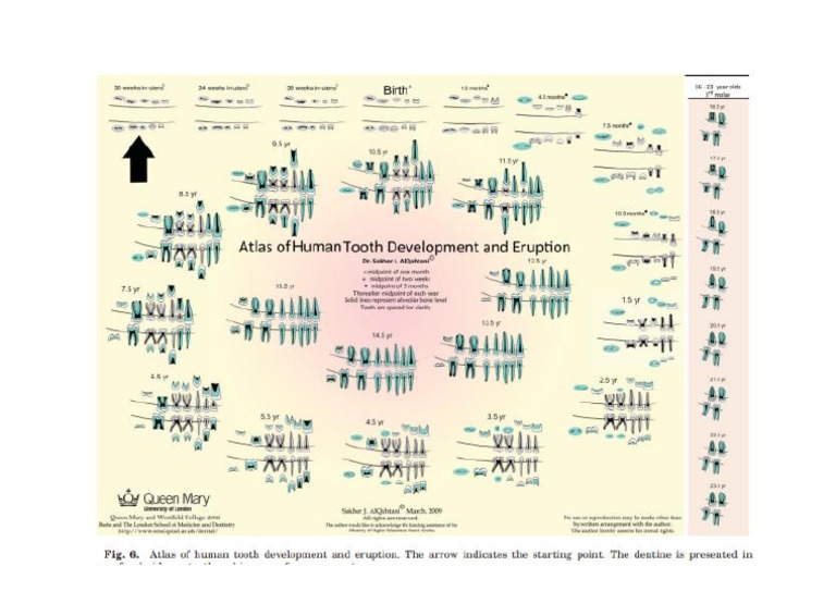 Al-Qahtani (London Atlas) Update | PDF