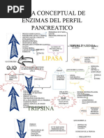 FRUTENZIMA: Usos y Beneficios Clínicos | PDF | Páncreas | Órgano (anatomía)