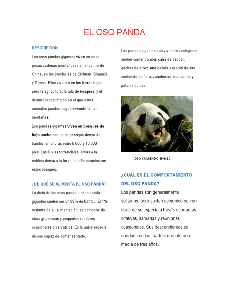 EL OSO PANDA ARTÍCULO DE DIVULGACIÓN | PDF