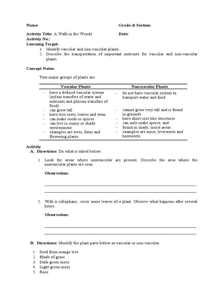 Vascular vs Nonvascular Plants Guide | PDF | Plants | Moss