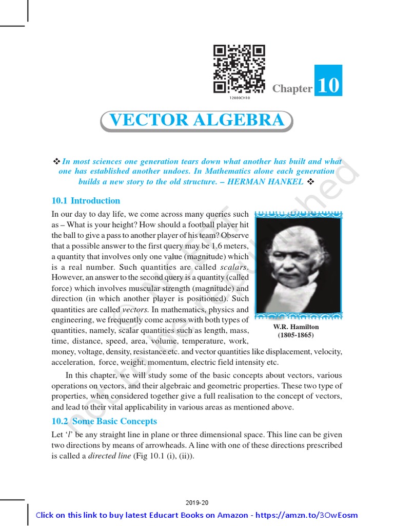 CH - 10 Vector Algebra | PDF | Euclidean Vector | Vector Space