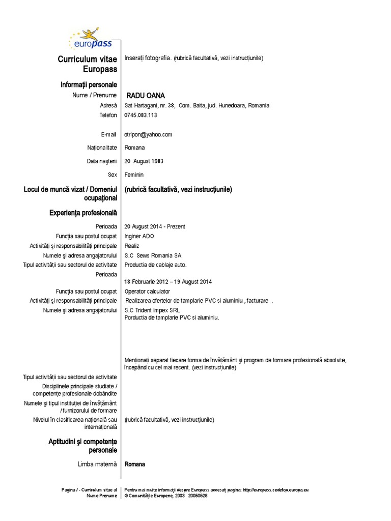 CV in Format European | PDF