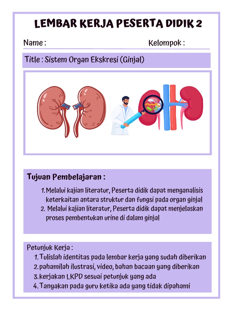 Ekskresi Ginjal: Analisis & Proses | PDF