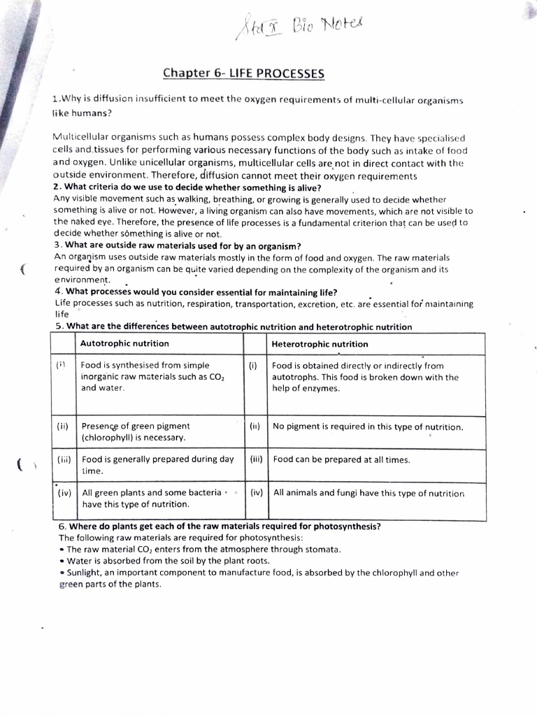 Life Processes Notes | PDF | Atrium (Heart) | Physiology