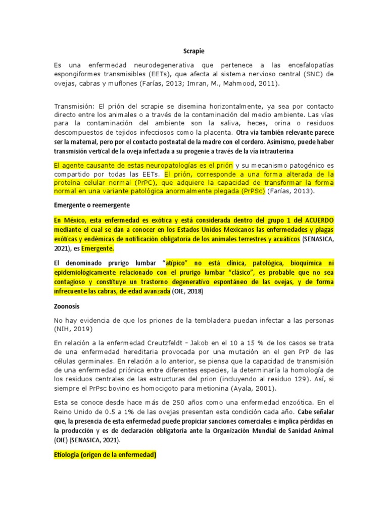 Scrapie: Enfermedad Priónica en Ovejas | PDF | Especialidades Medicas ...