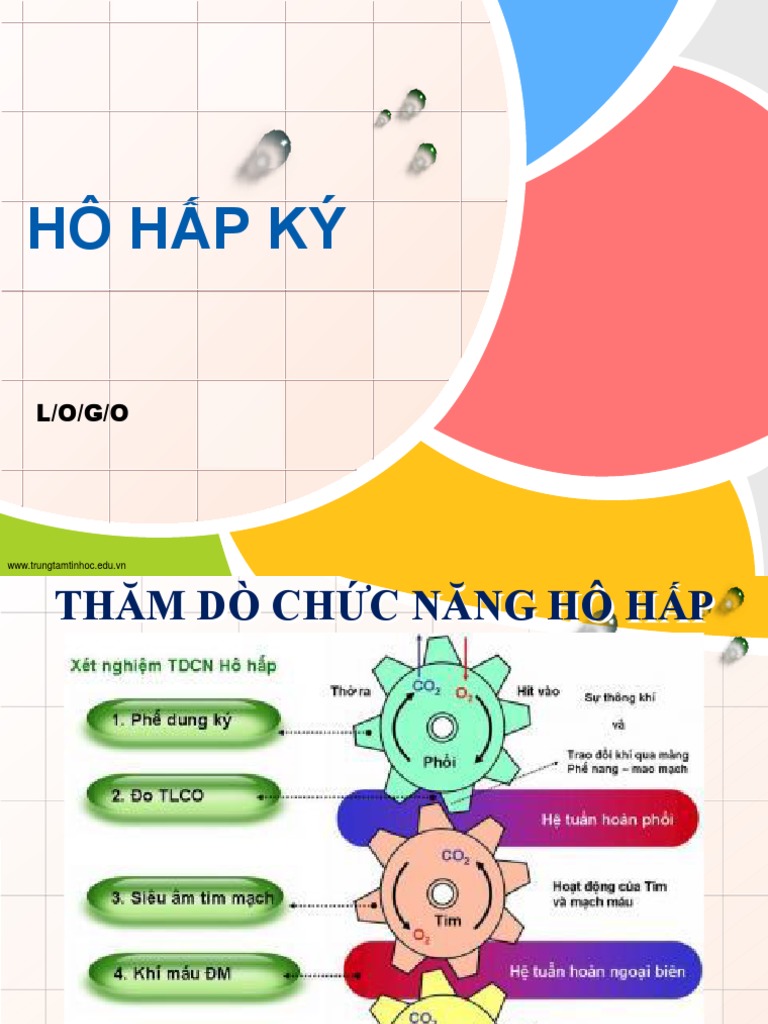 Ho Hap Ky | PDF