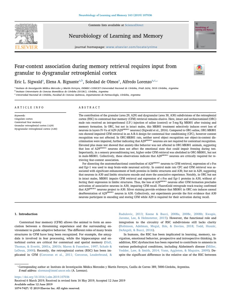 Sigwald Et Al., 2019 | PDF | Wellness | Computers