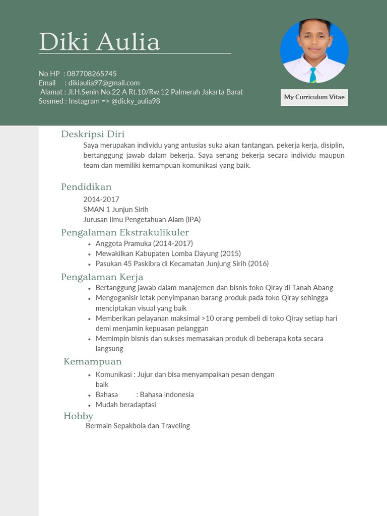 CV Diki Aulia | PDF | Karier & Perkembangan | Pengembangan Diri
