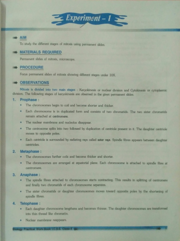 Bio Practical File Work | PDF