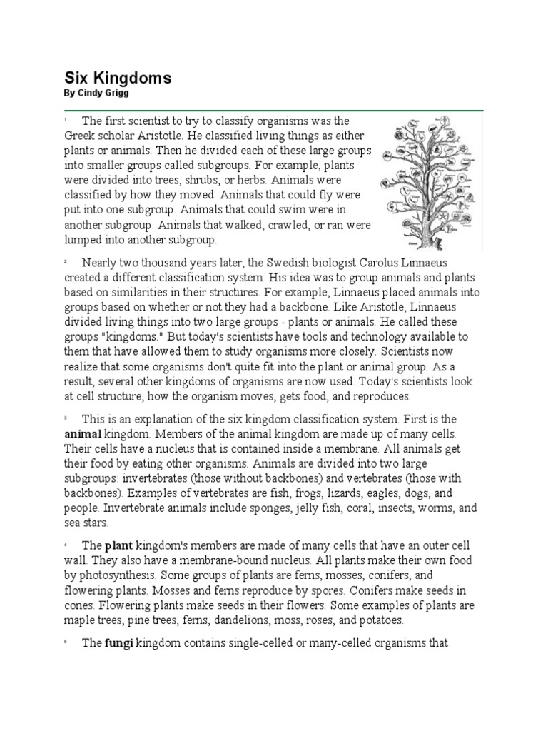 Kingdoms of Life Worksheet 8 | PDF | Home & Garden
