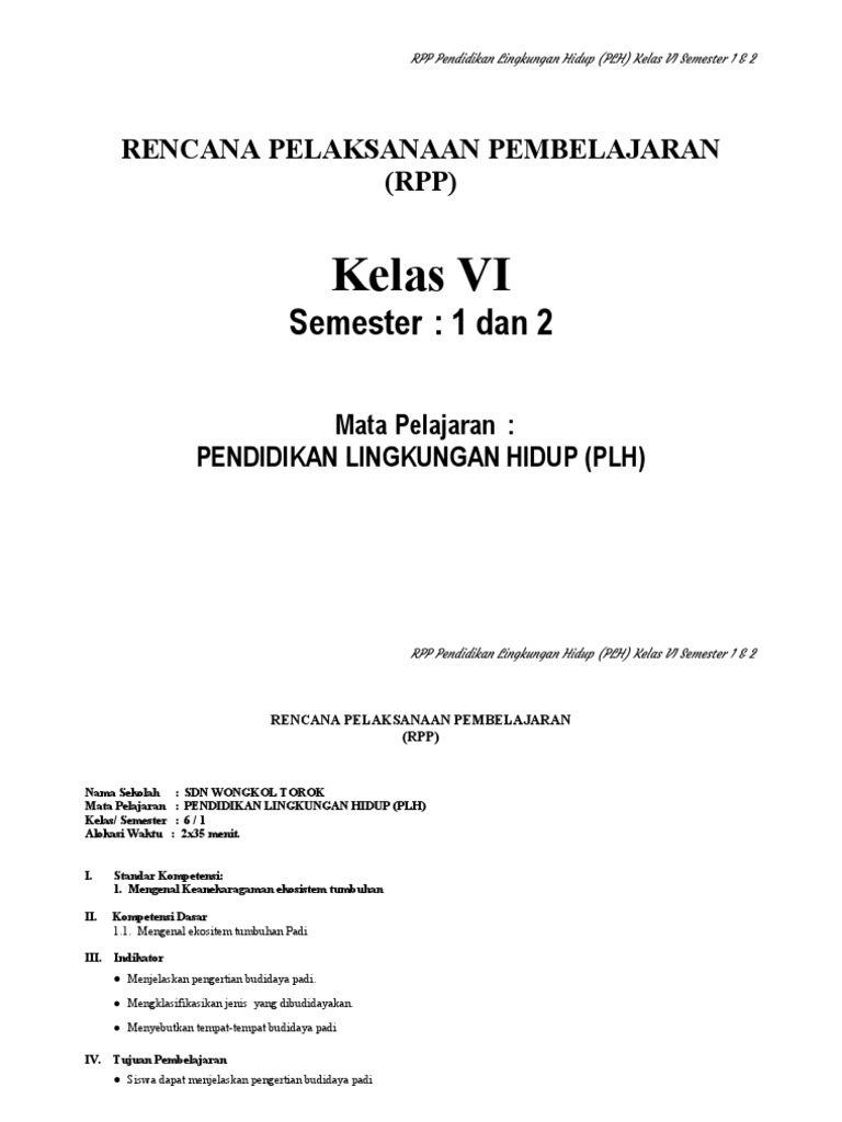 RPP PLH 6 | PDF | Karier & Perkembangan