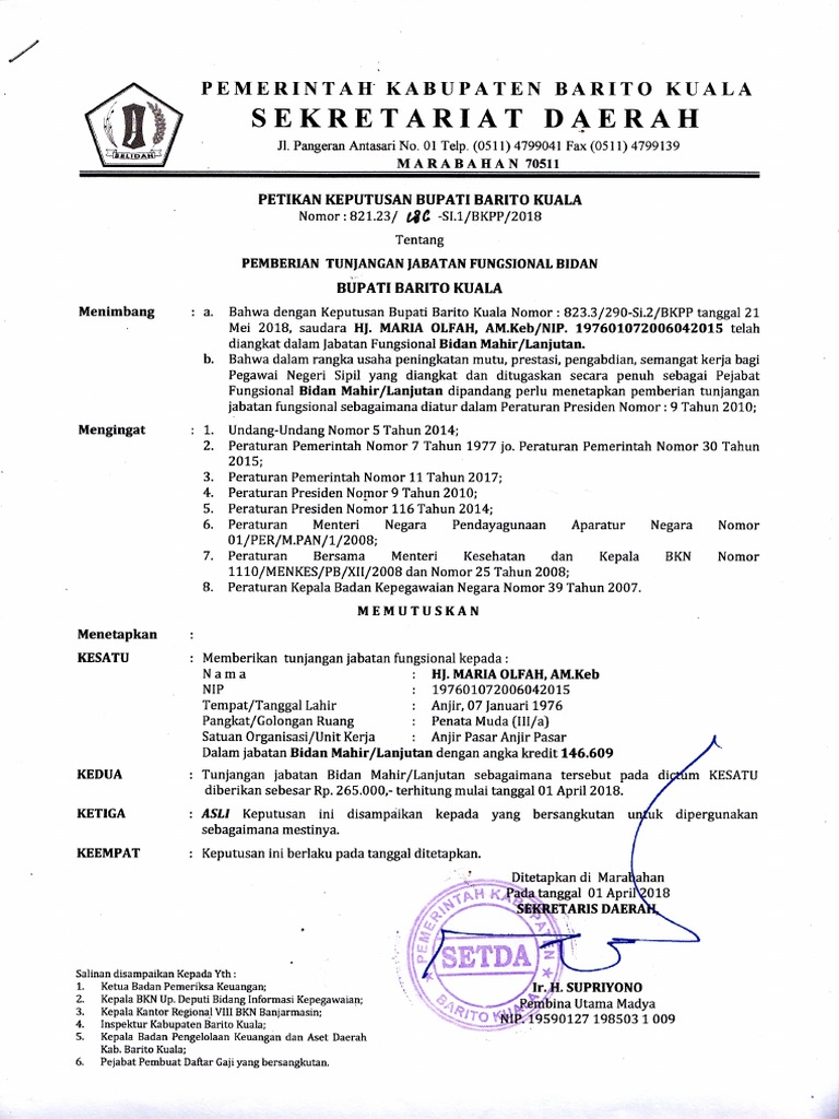 Sk Jabatan Fungsional | PDF