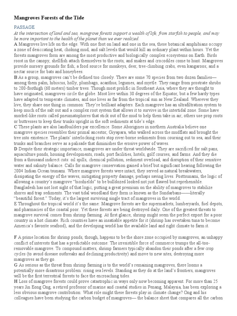 T NG H P Reading Practice | PDF | Banana | Taste