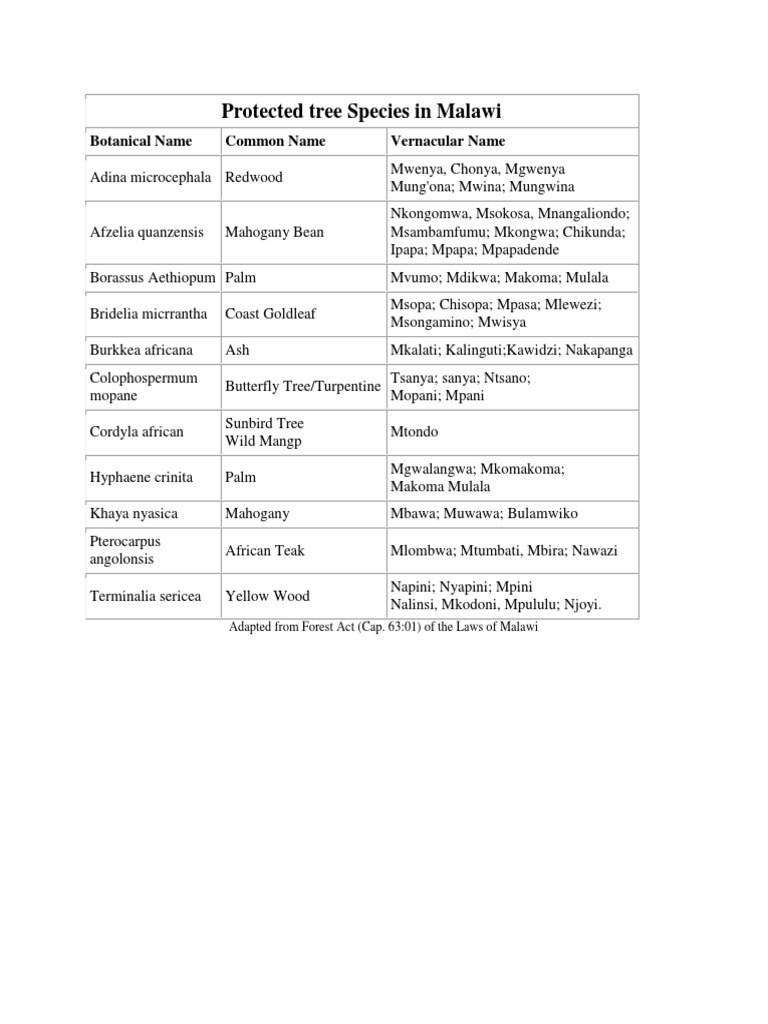 Protected Tree Species in Malawi | PDF