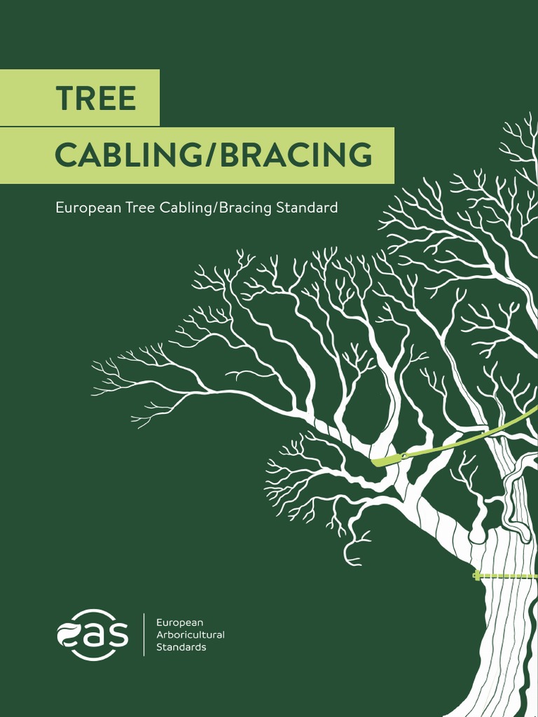 Tree Bracing Standards | PDF