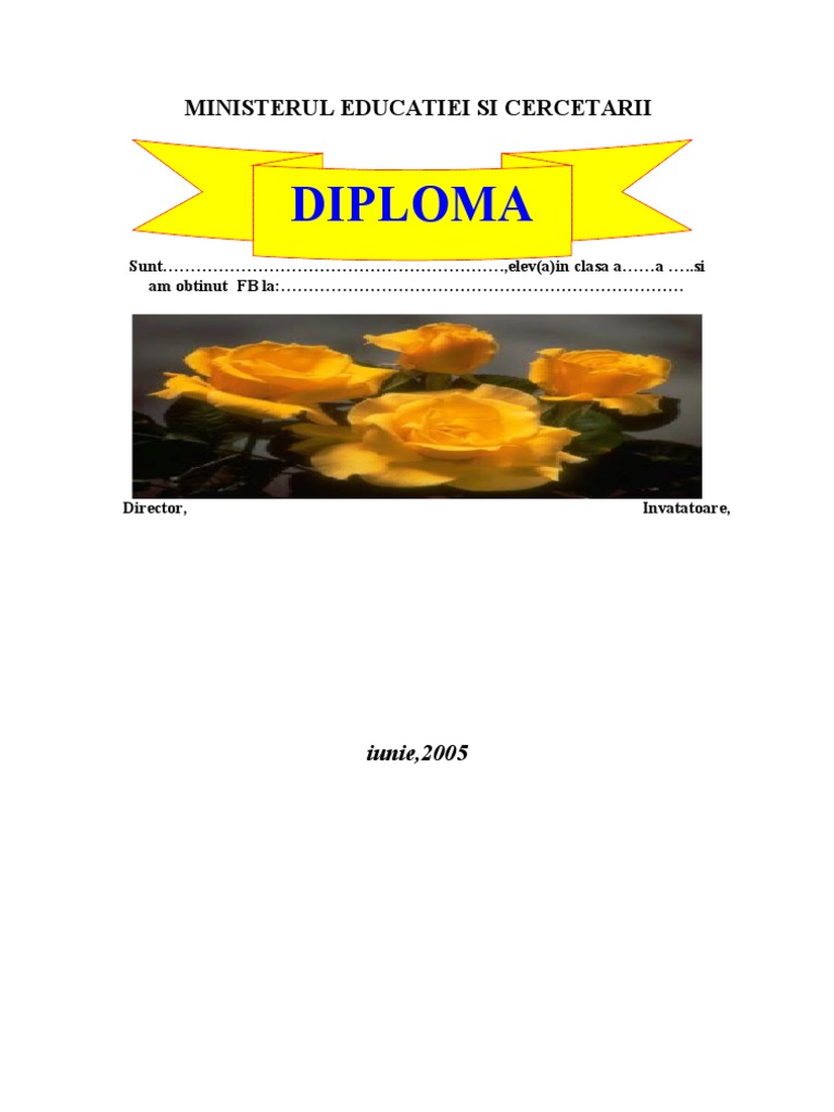 Diploma 1 | PDF