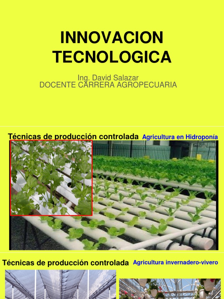 Innovacion Tecnologica | PDF