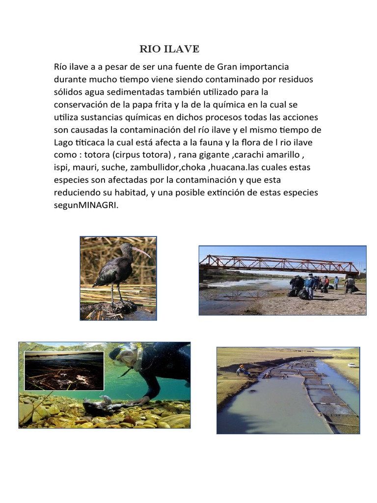 Rio Ilave | PDF