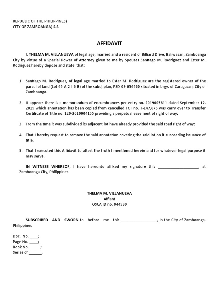 Affidavit of Lost Sepia | PDF