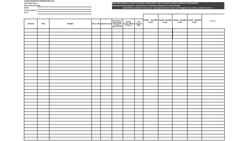 9 Months Expiry Report Form for Merchandiser (3) | PDF