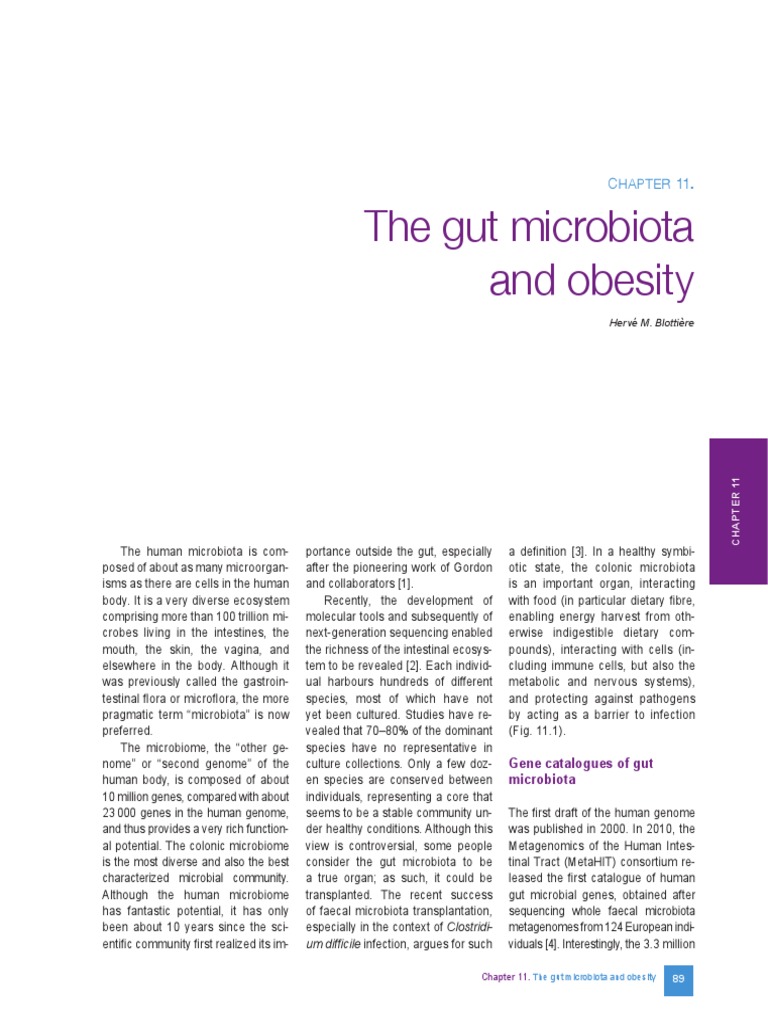 Gut Microbiota's Role in Obesity | PDF | Microbiota | Adipose Tissue