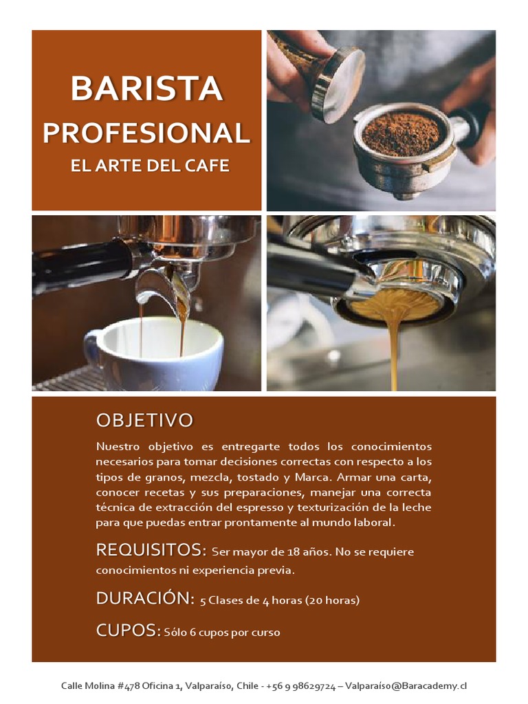 Barista Profesional | PDF